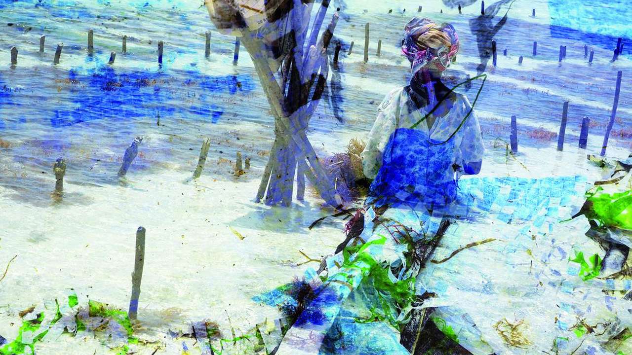 Exposition - L'empreinte de l'Homme sur la planète - Ulule