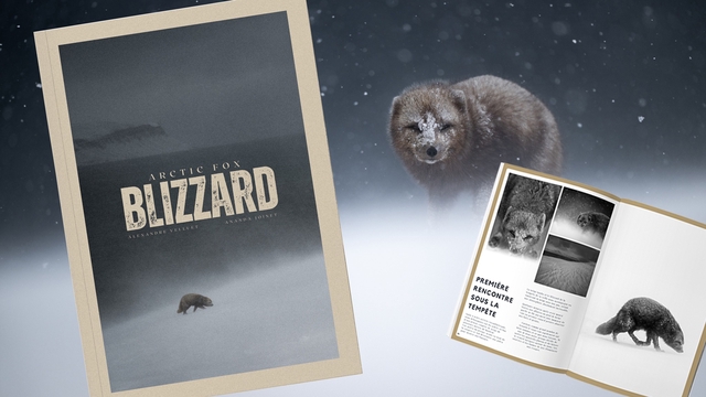 Livre "BLIZZARD x Arctic fox" - Ulule