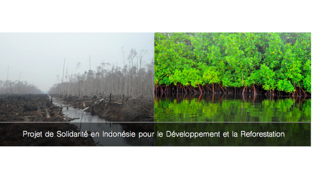 Hugo Plassais - Ulule