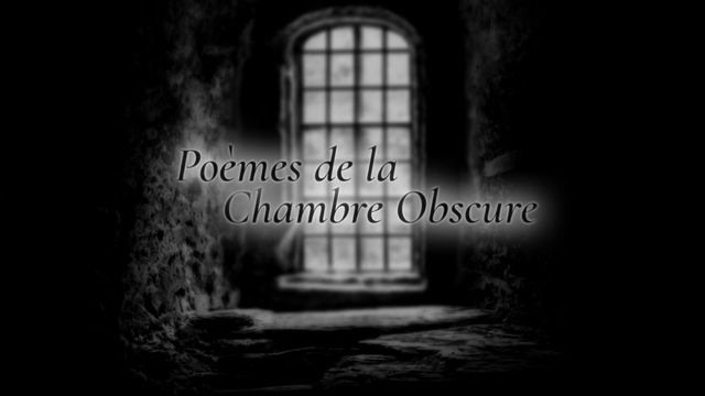Poèmes de la Chambre Obscure - Edition en double CD