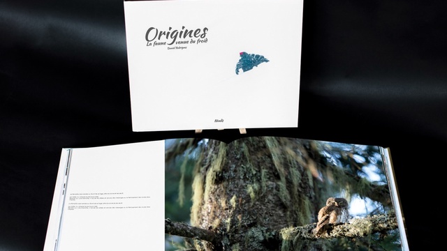 Origines - La faune venue du froid