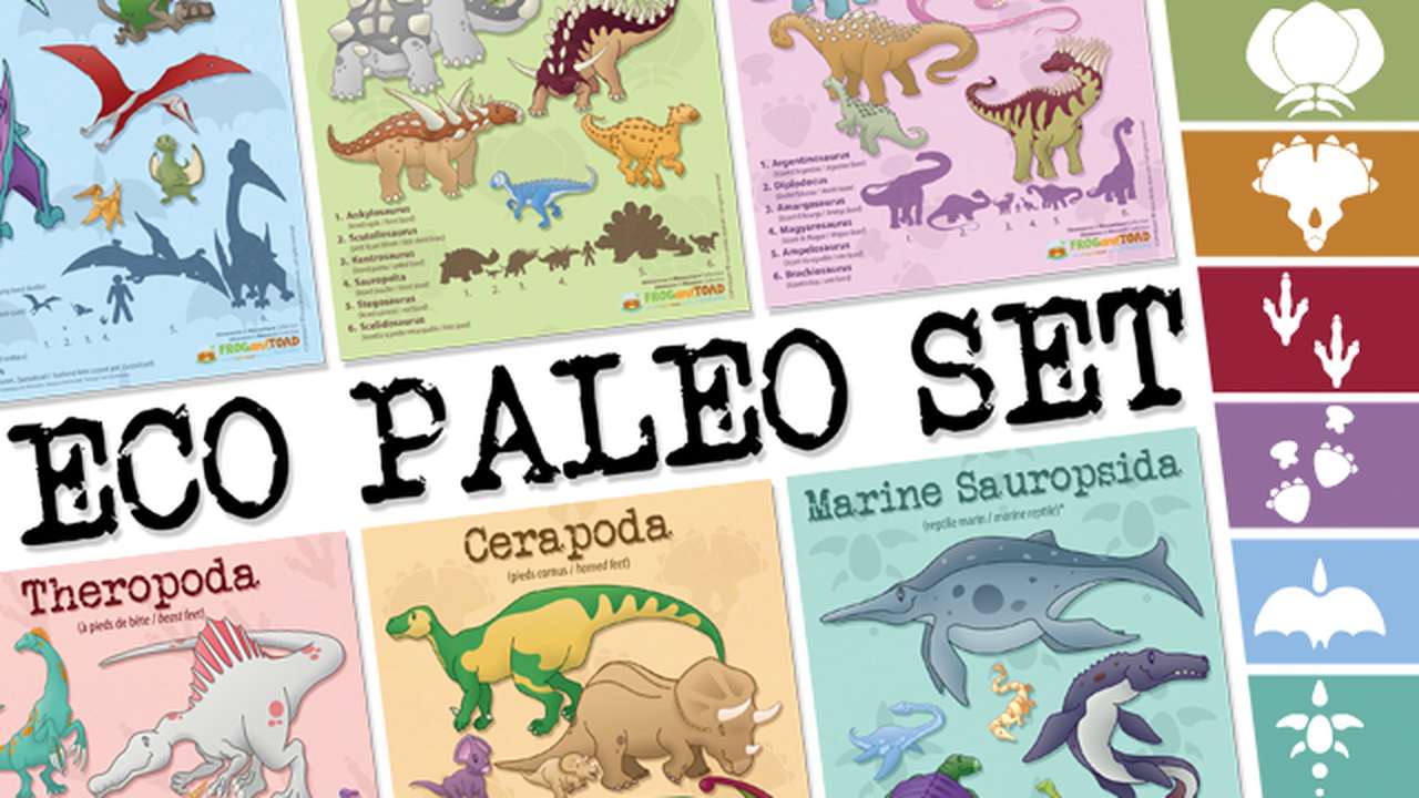 ECO PALEO SET - Ulule
