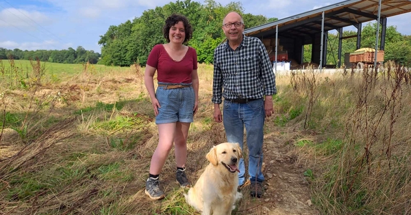 Des graines, du pain...et des plumes