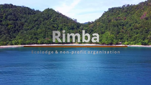 CALL FOR SOLIDARITY FOR RIMBA