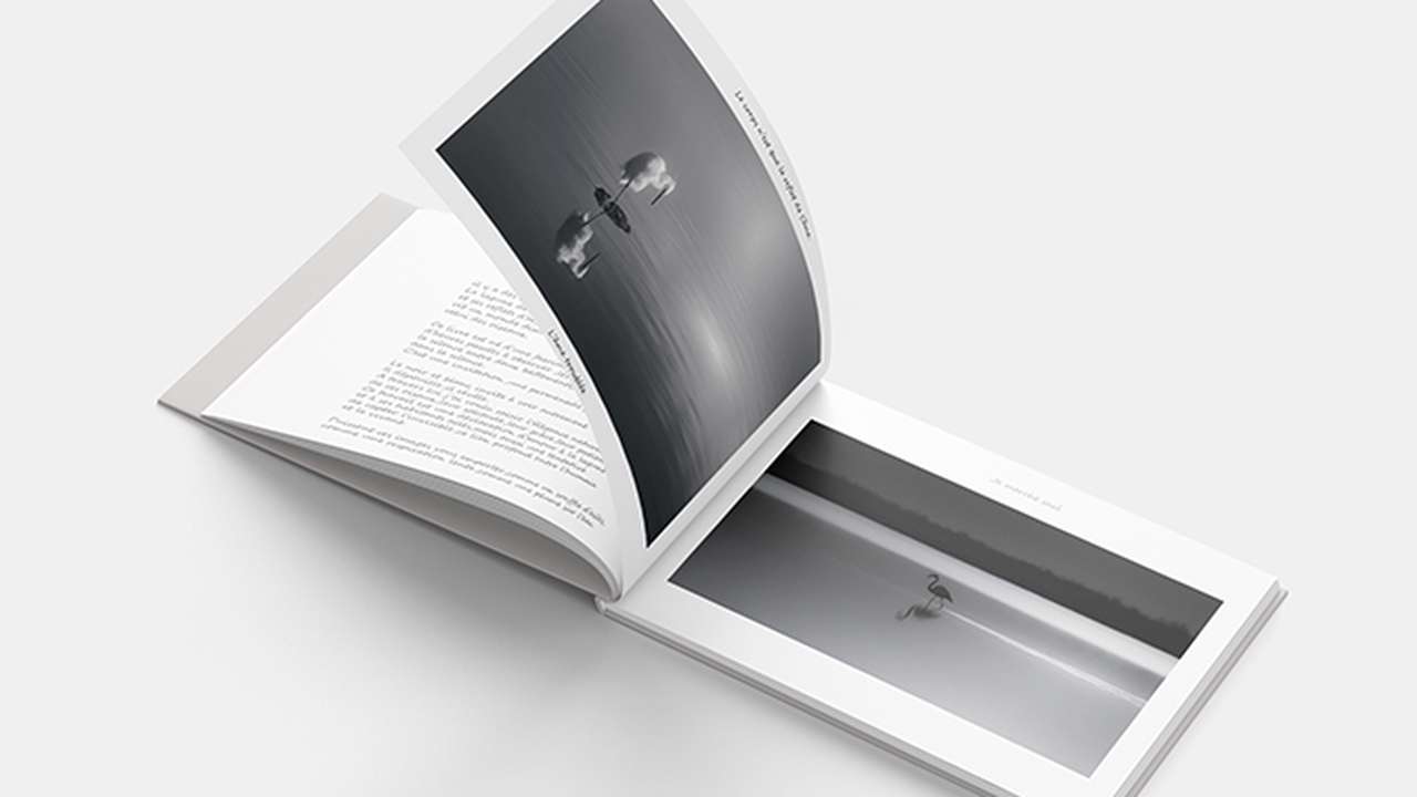 Par-dessus l’étang – Là où la nature devient poésie