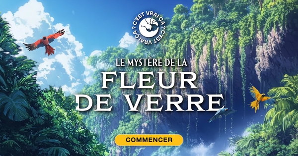 Prolongations - Le mystère de la fleur de verre