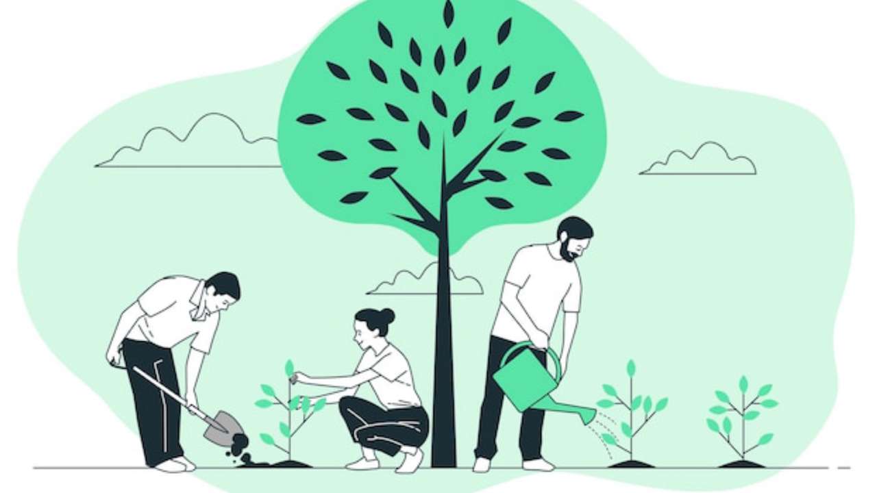 FLORE VERDOYANTE : Un quartier qui revit