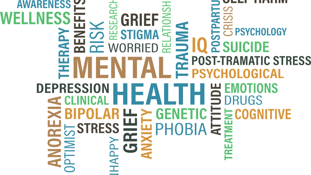 Mental Health Navigator