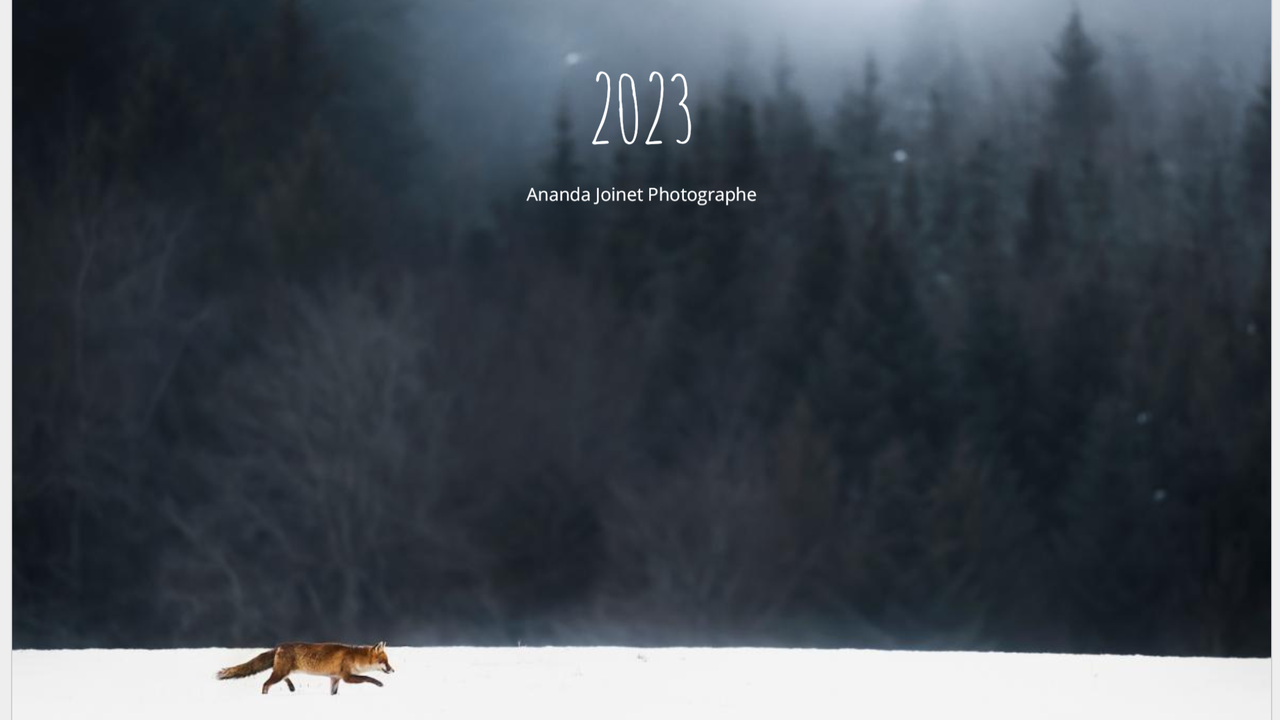 Calendriers 2023 - Ulule