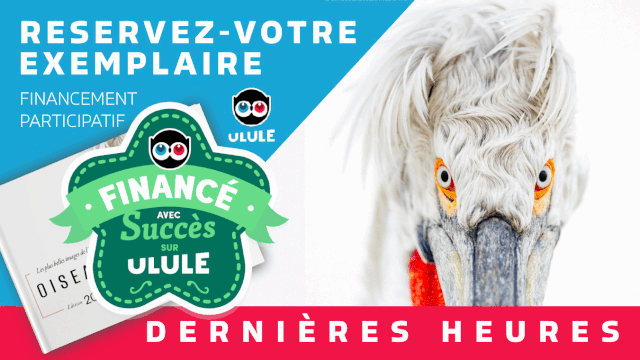 🚀⏰ OISEAUX-les plus belles images de l'année-Édition 2025 - Ulule