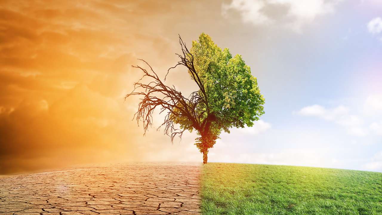 Transformer ma planète