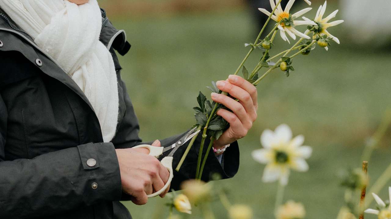 Création d'un atelier floral au cœur des monts d'or