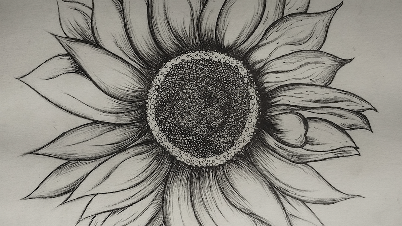 Mon premier livre : Moi, hypersensible ?? - Ulule