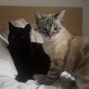 Clement Reynoudt - Ulule