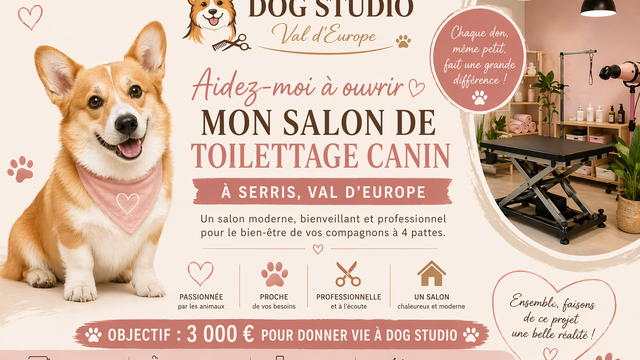 DOG STUDIO Val d’Europe – Ouverture d’un salon de toilettage
