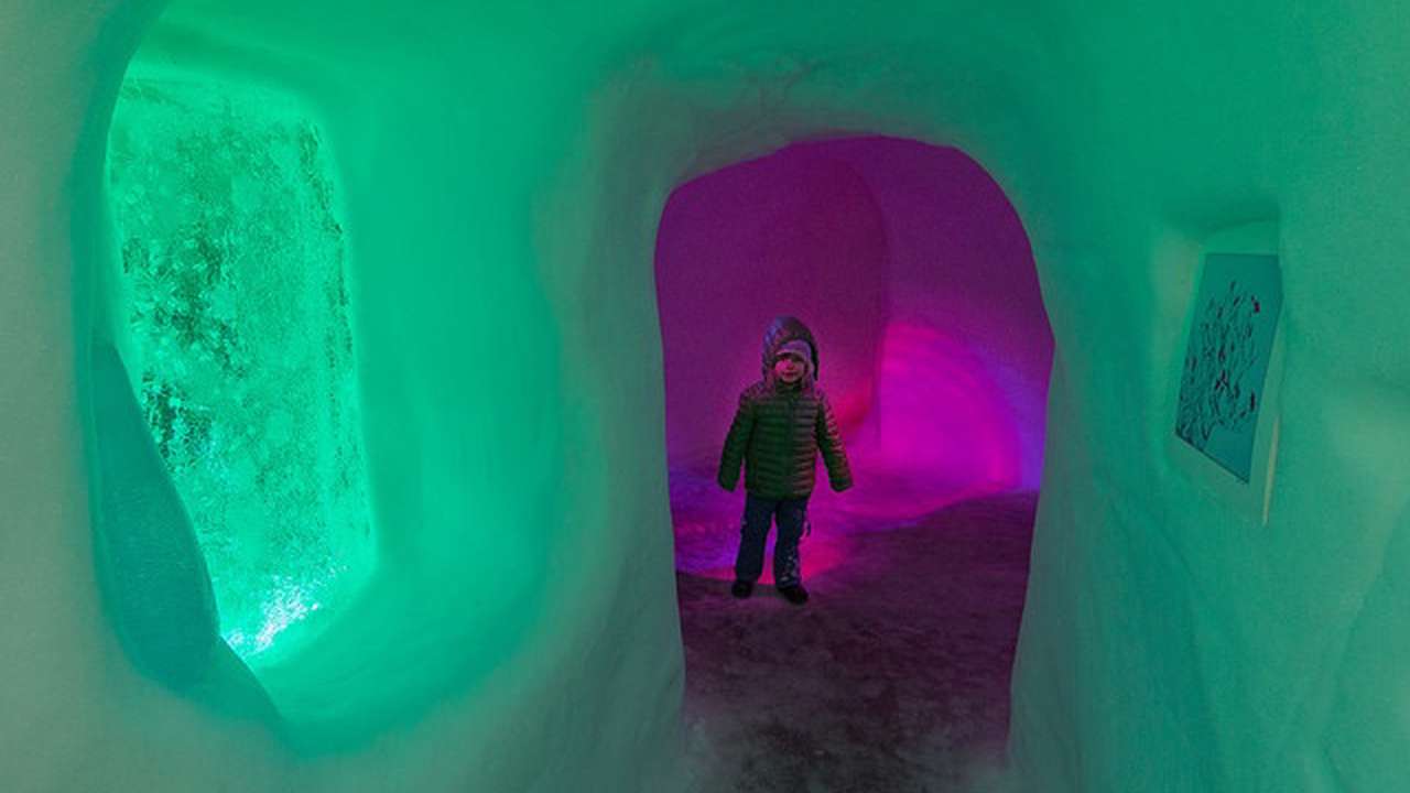 Igloo Pelvoo 2016/2017