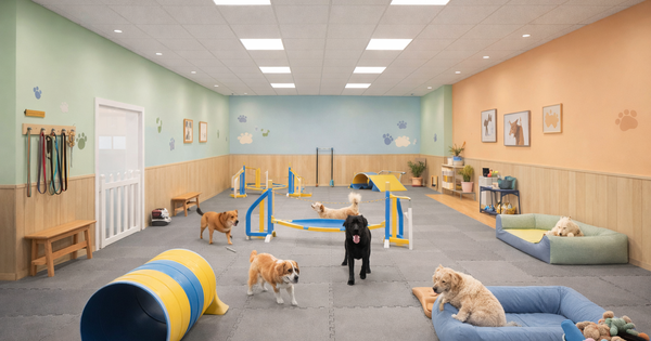 Un parc canin en intérieur pour Le Monde de Naïa