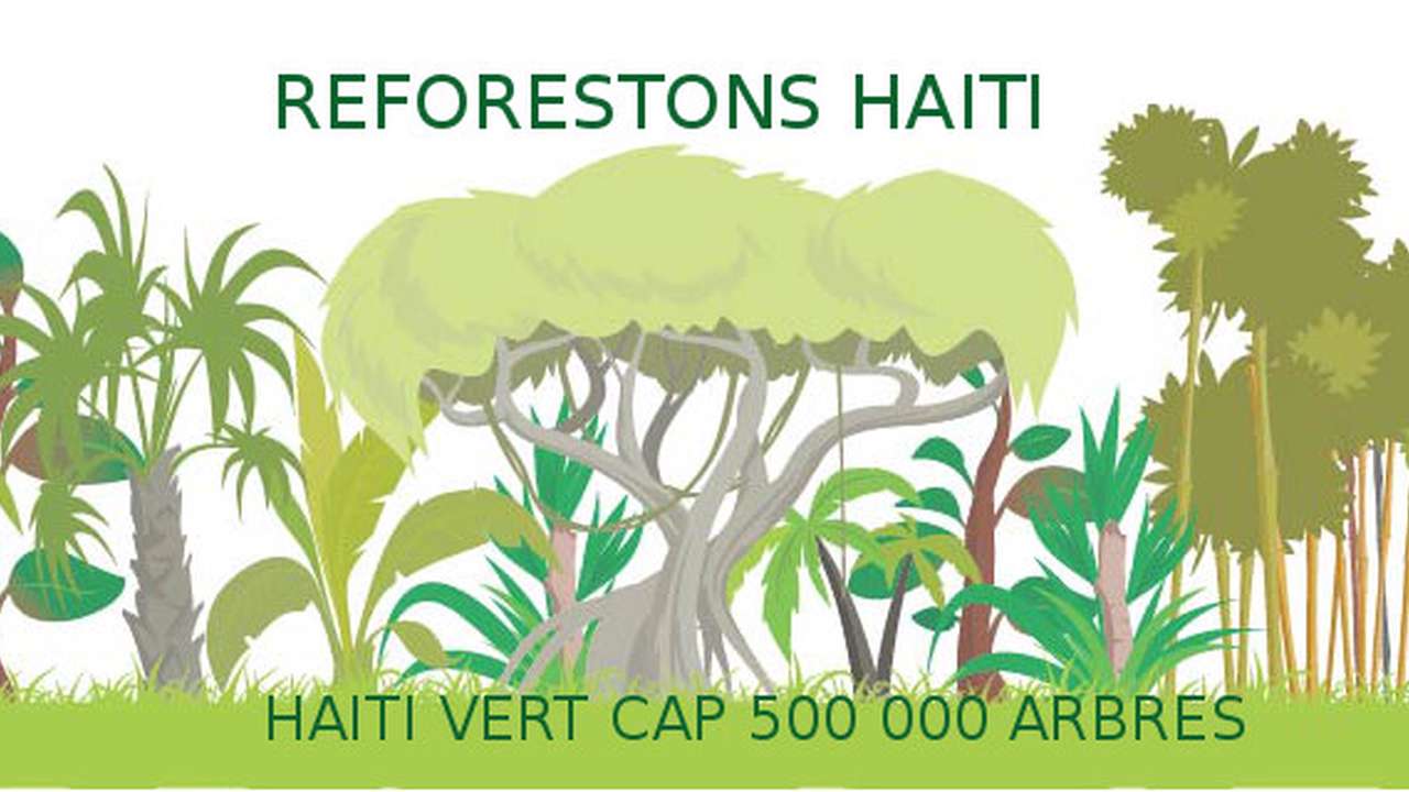 HAITI CAP 500 000 Arbres