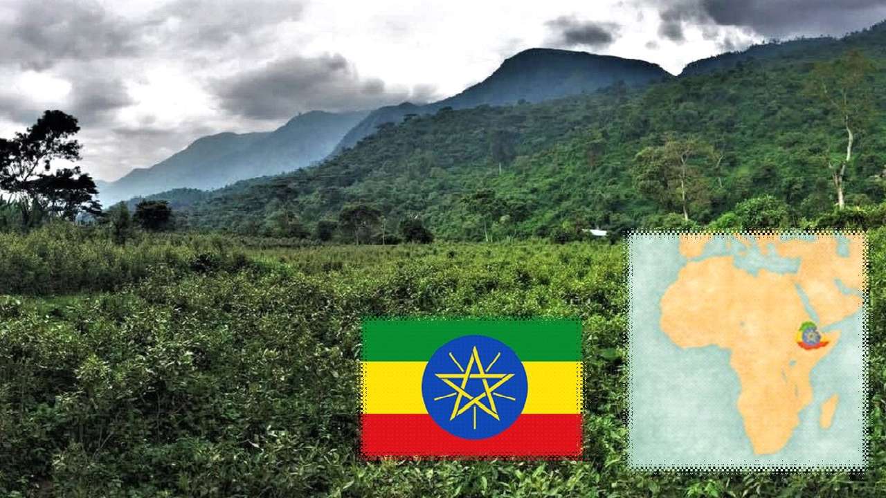 Salomon & Saba Eco-Lodges