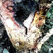 Patrick Martinot - Ulule