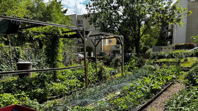 Une serre pour notre jardin partagé de la Croix Blanche