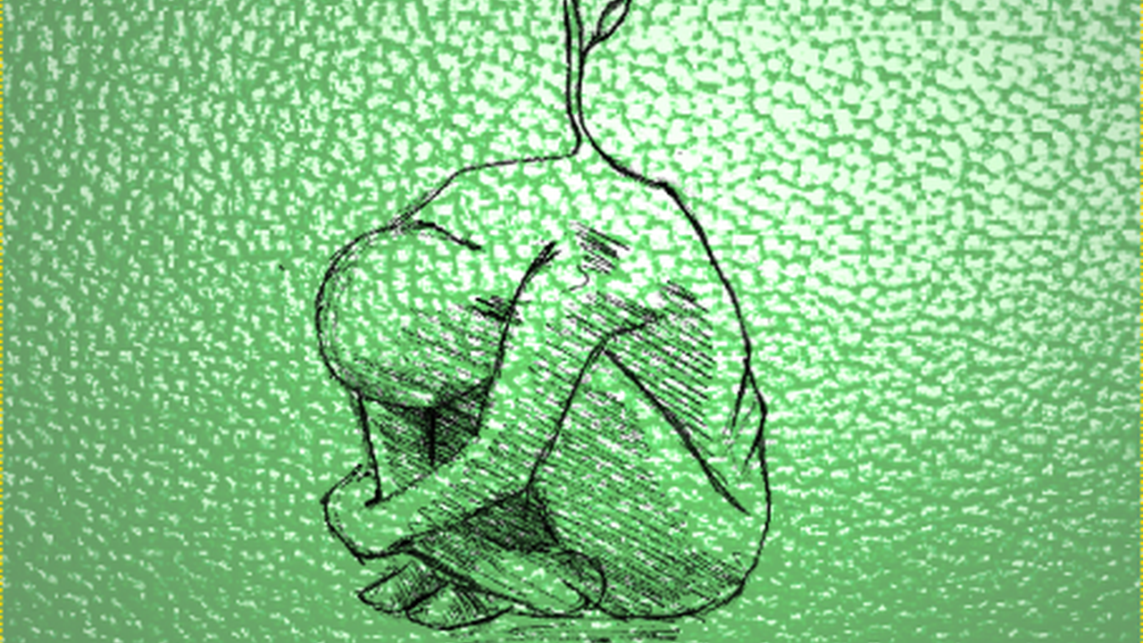 Ptit Li'on - Album Renaissance