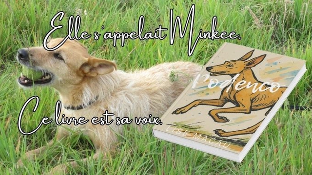 Podenco – Un roman pour ne jamais les oublier