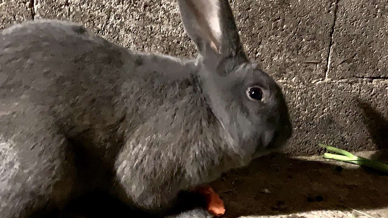 L'éco-refuge, Digny, Eure et Loir - Ulule