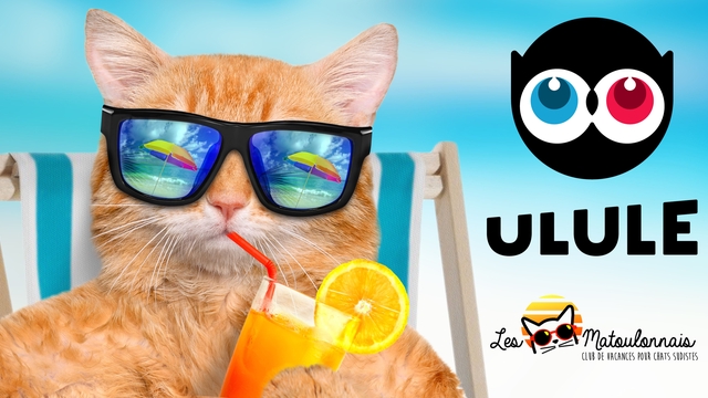 Lilian D'Hondt - Ulule