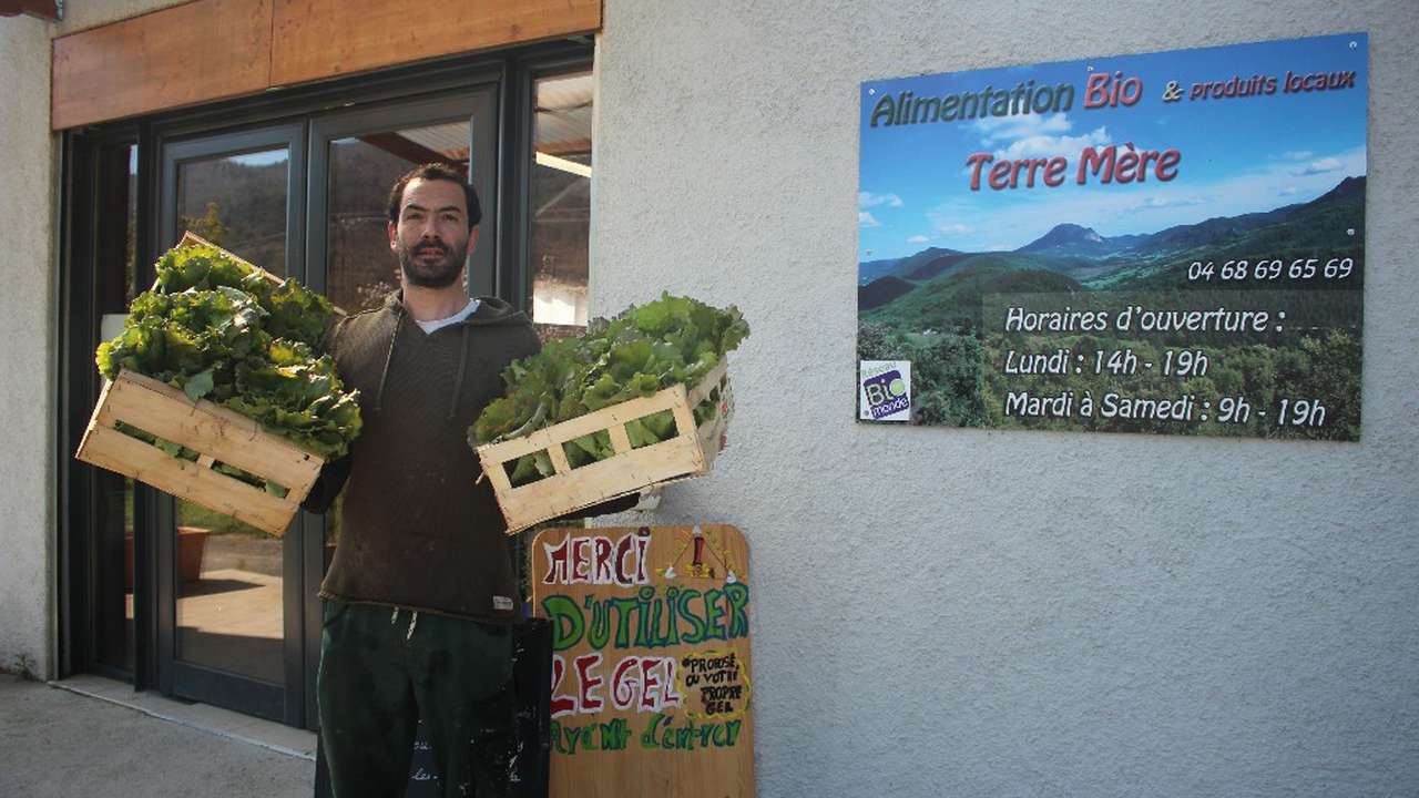 Le jardin aux milles bourraches.