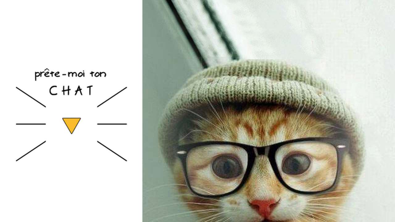 Prête-moi ton chat