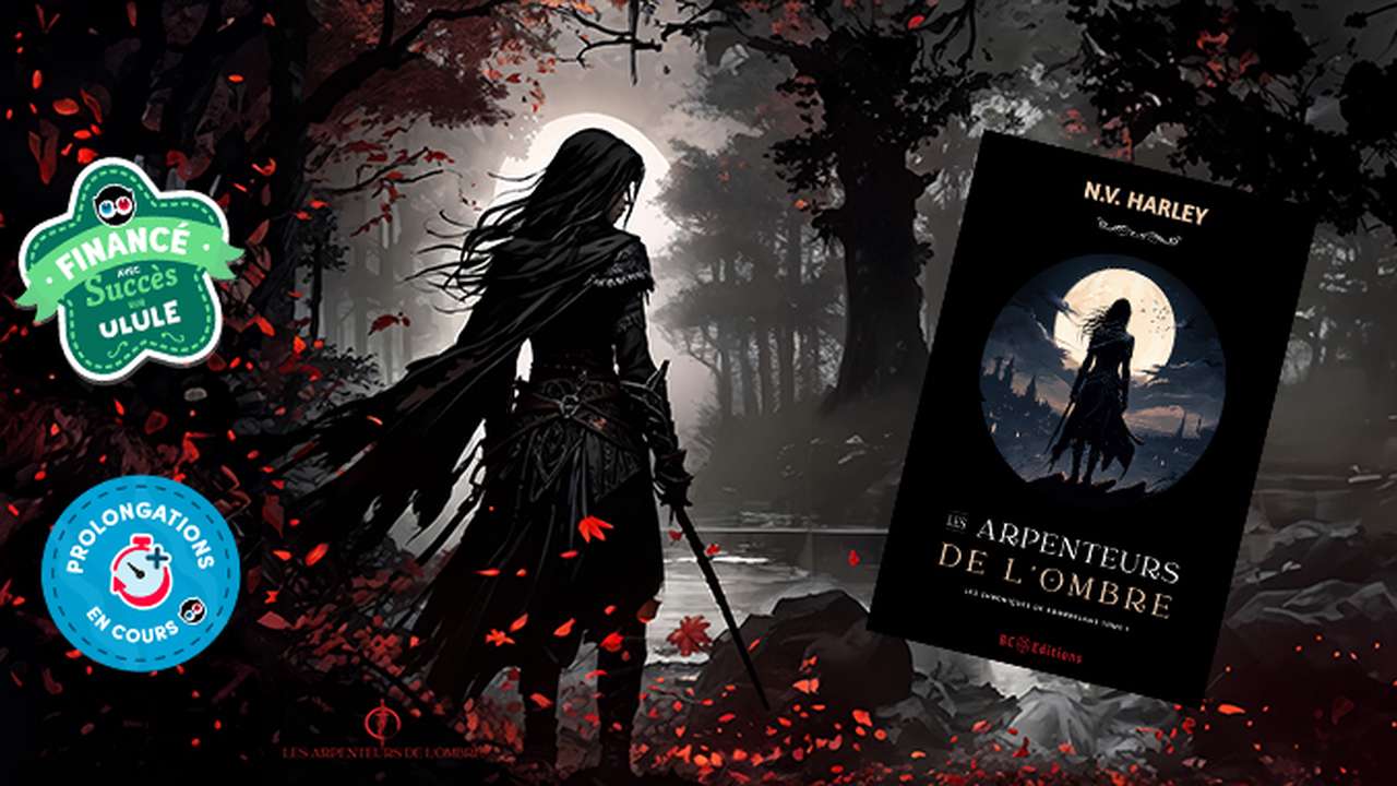 Les arpenteurs de l'ombre : Roman de fantasy