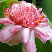 Christiane Martin - Ulule