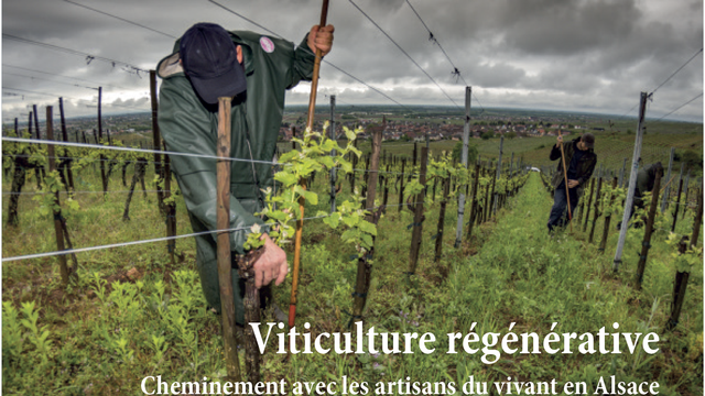 Viticulture régénératrice en Alsace - Ulule