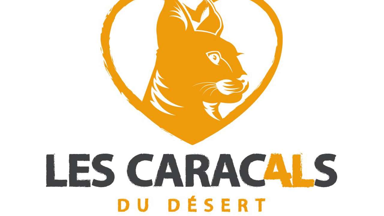 Les Carac4Ls du Désert
