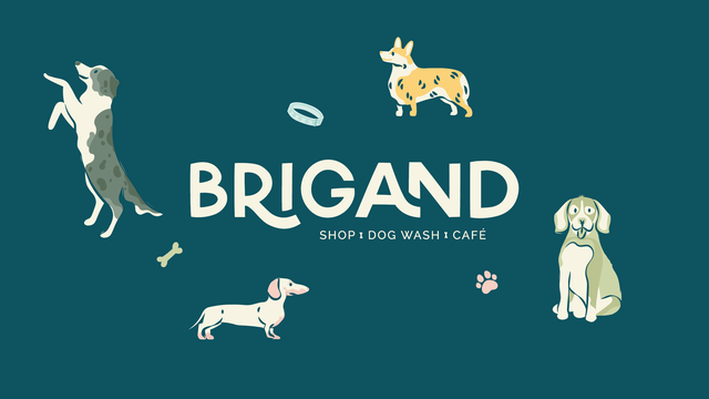 Le 1er concept store canin à Lyon
