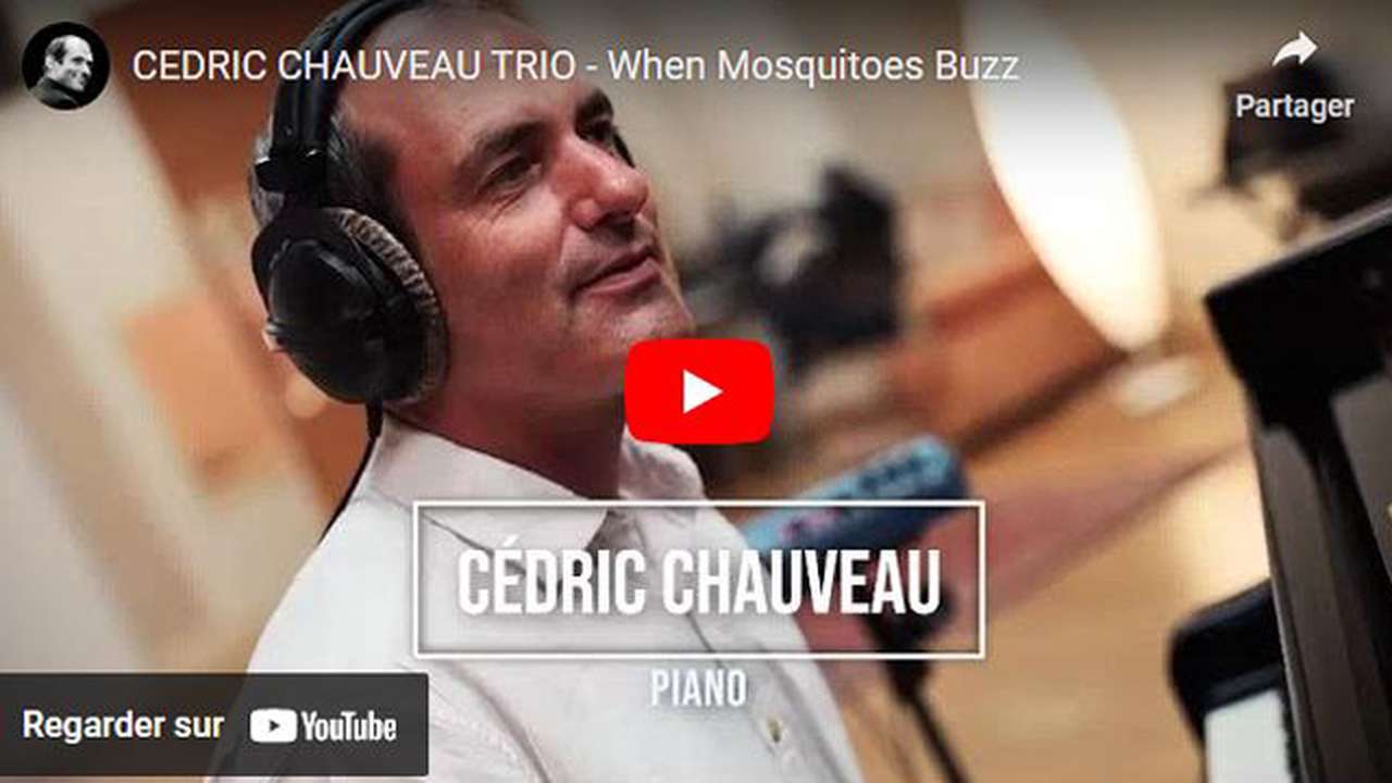 2ème album du Cédric Chauveau trio