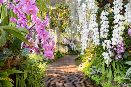 jean-marc-sauren.com - Ulule