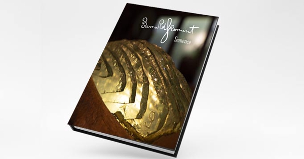 " Semence" de Bernard Froment - Ulule