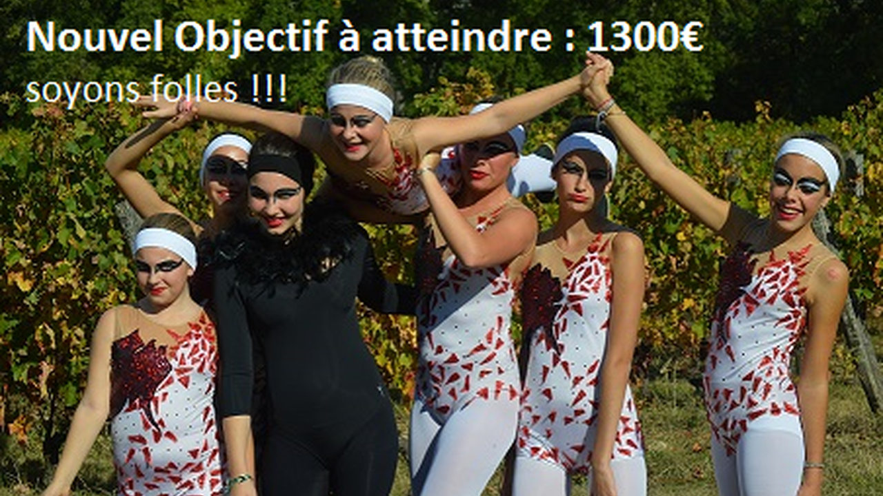 Le Lac des Cygnes au Salon du Cheval à Paris