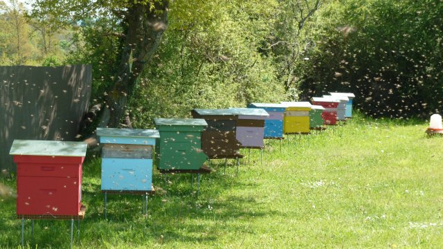 Sylvie Besland - Ulule