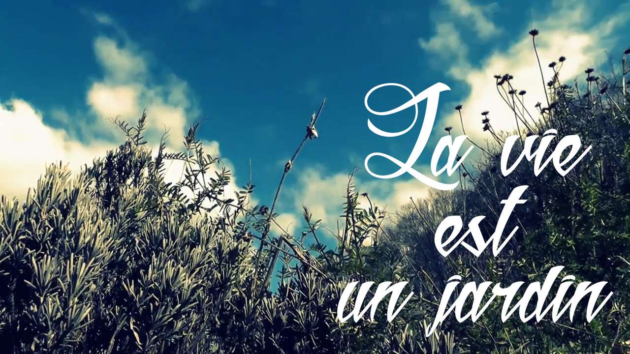 La Vie est un Jardin - Ulule