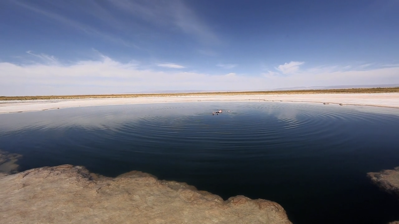 60 ans, mais toujours la bougeotte