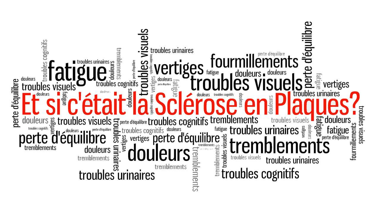 S.E.P. (Sclerose En Plaque)