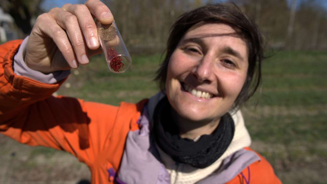 Du safran à Strasbourg, local et vertueux