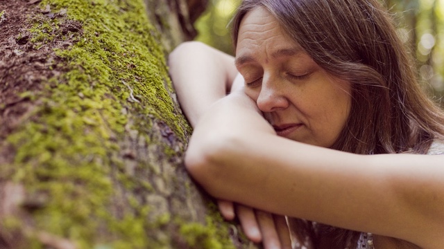Sylvie Gaudillat Szabo - Ulule