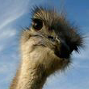 Jean Claude LALLAIZON - Ulule