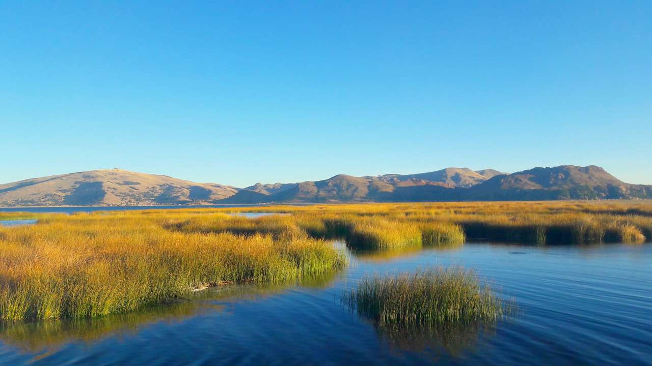 Bio-restauration du lac Titicaca