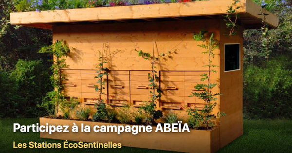 Abeïa – Offrez un refuge aux abeilles, semez la biodiversité