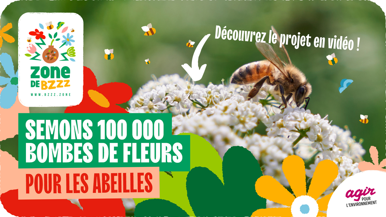 Semons 100 000 bombes de fleurs pour les abeilles